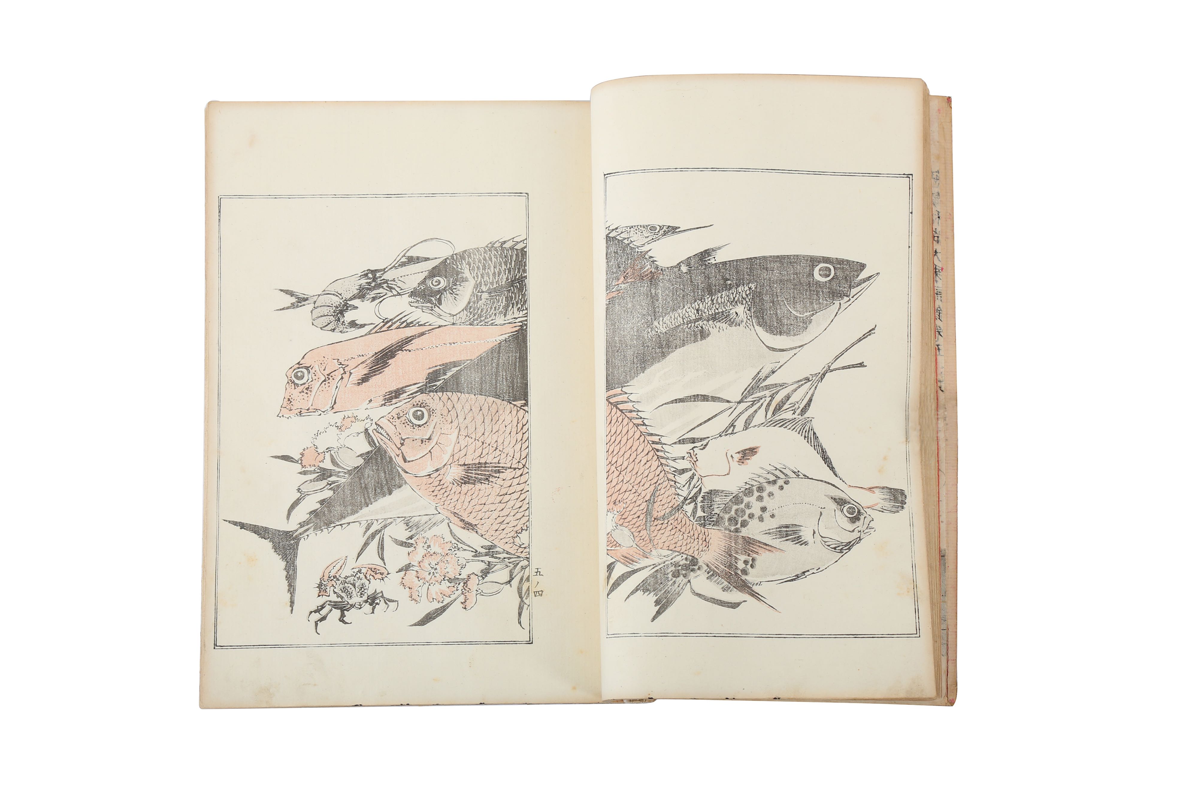 Lot 24 - A SET OF FIVE ILLUSTRATED BOOKS BY ICHIKAWA