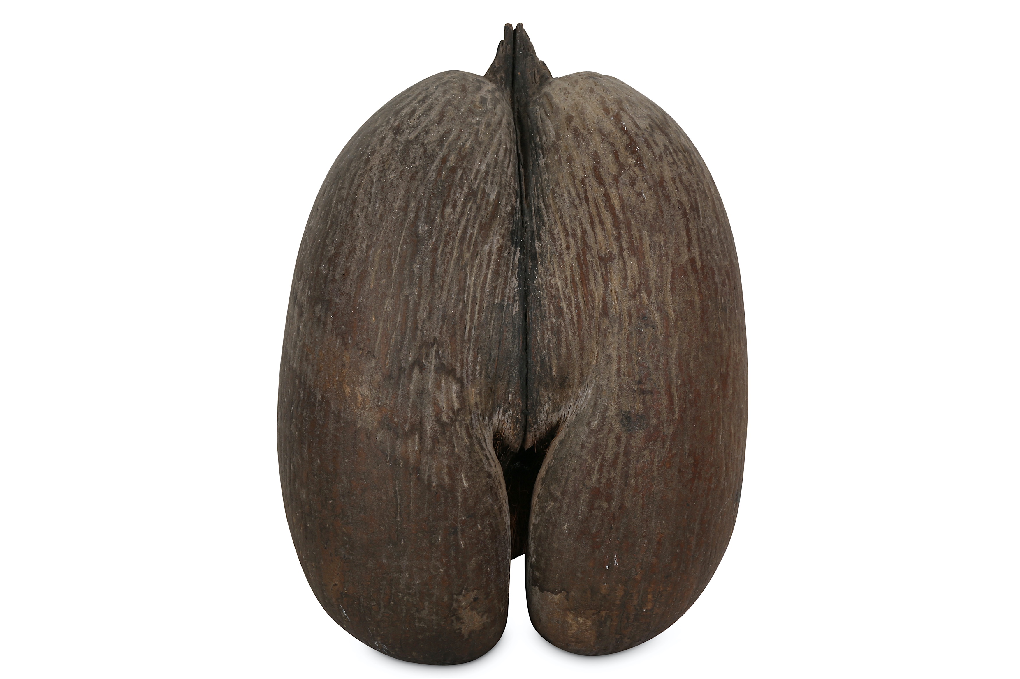 Lot 270 - A LARGE COCO DE MER NUT (LODOICEA MALDIVICA)
