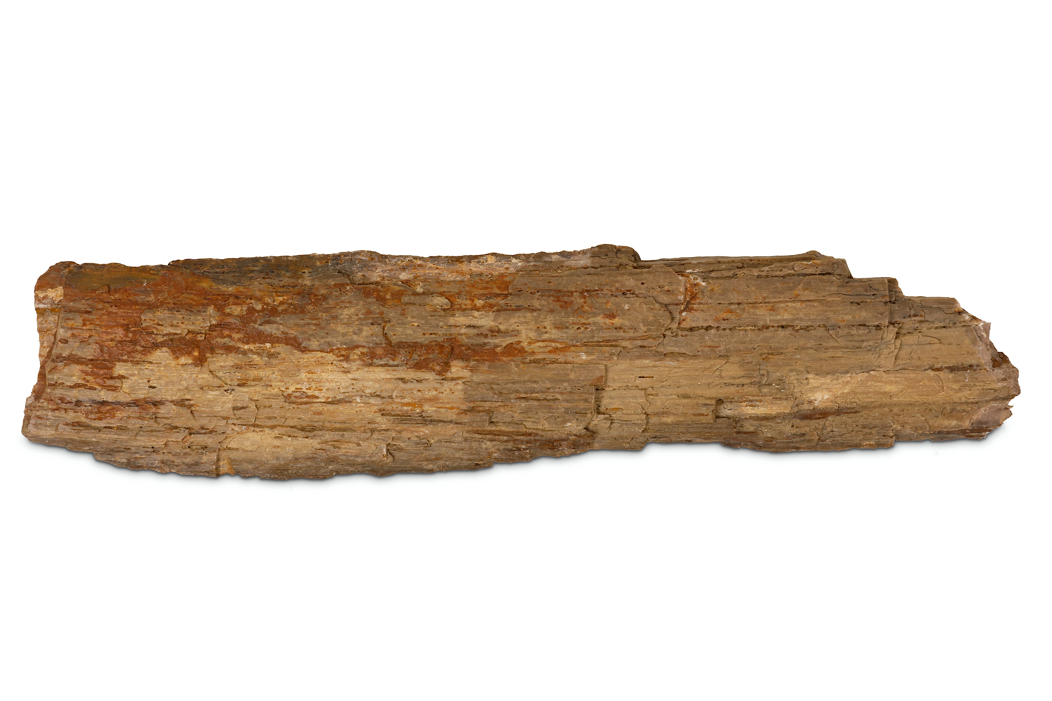 Lot 87 - A FRAGMENT OF FOSSILISED TREE BARK