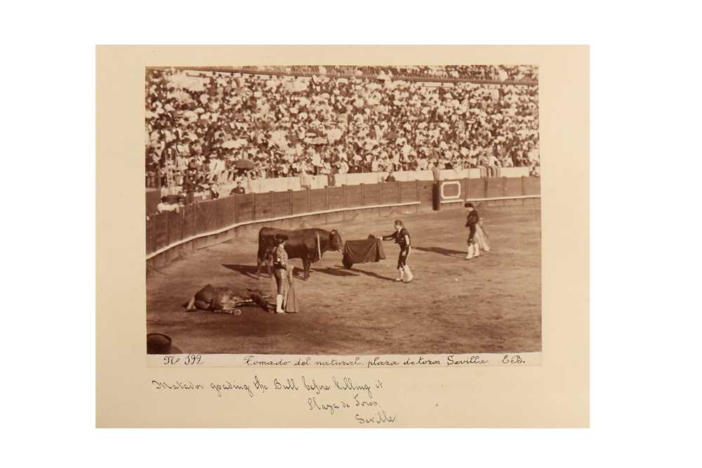 Lot 117 - SPAIN. 1890