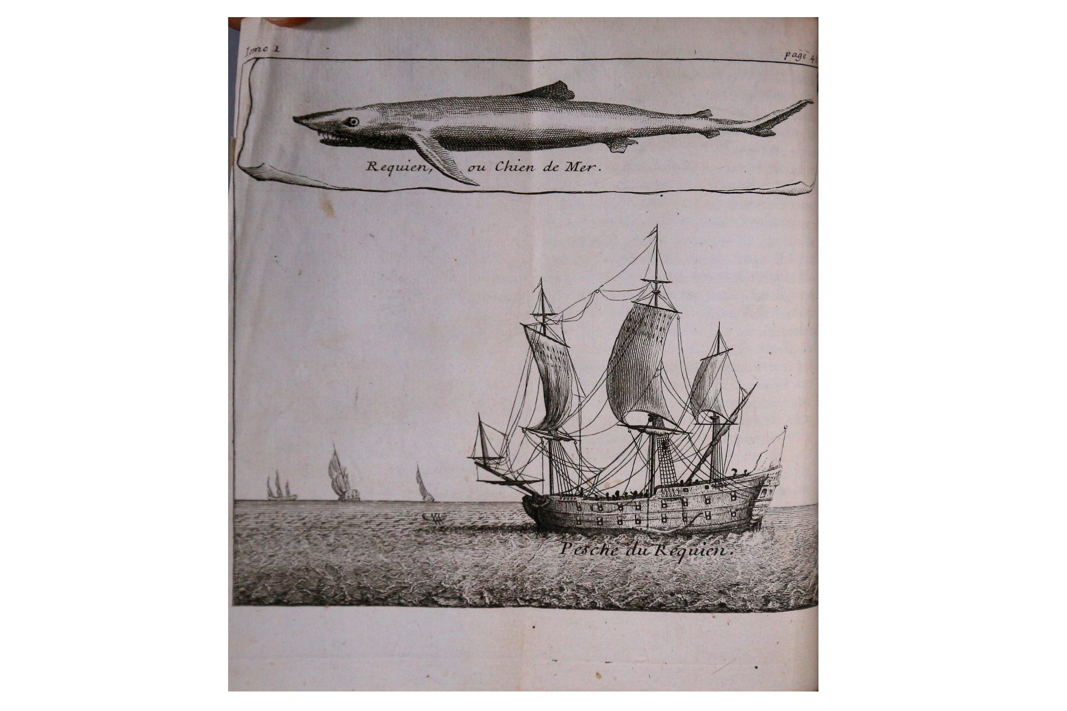 Lot 306 - Americas.- [Labat (Jean-Baptiste)]