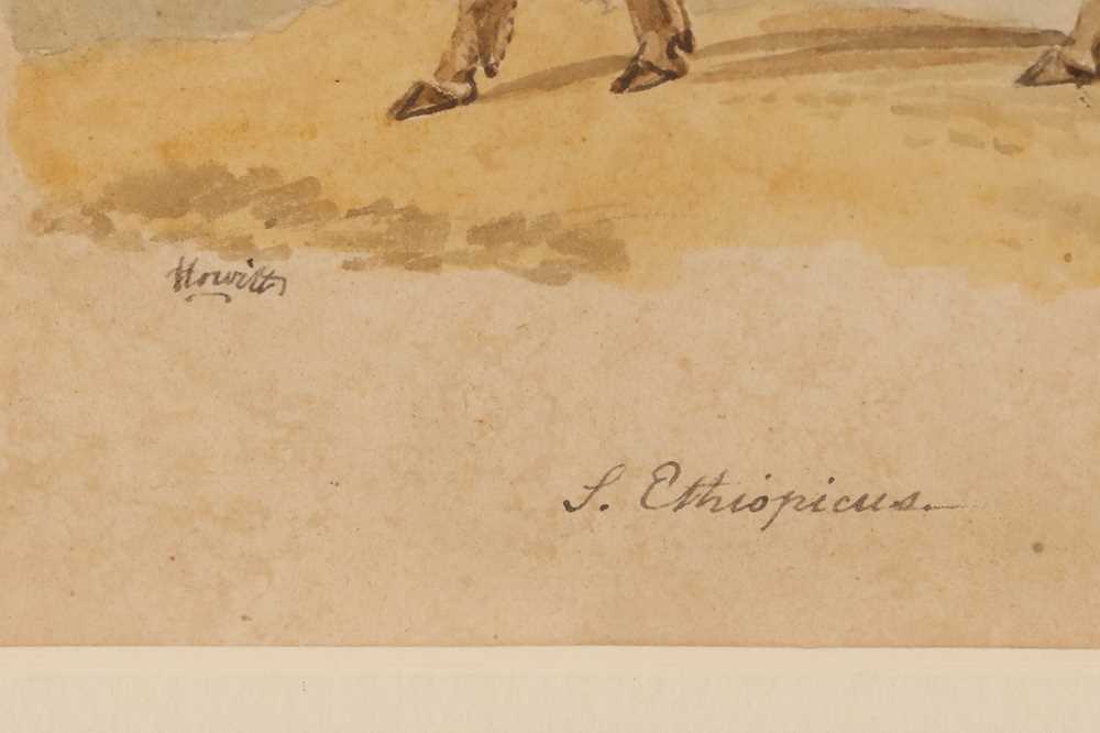 Lot 923 - SAMUEL HOWITT (BRITISH 1756/57 - 1822)