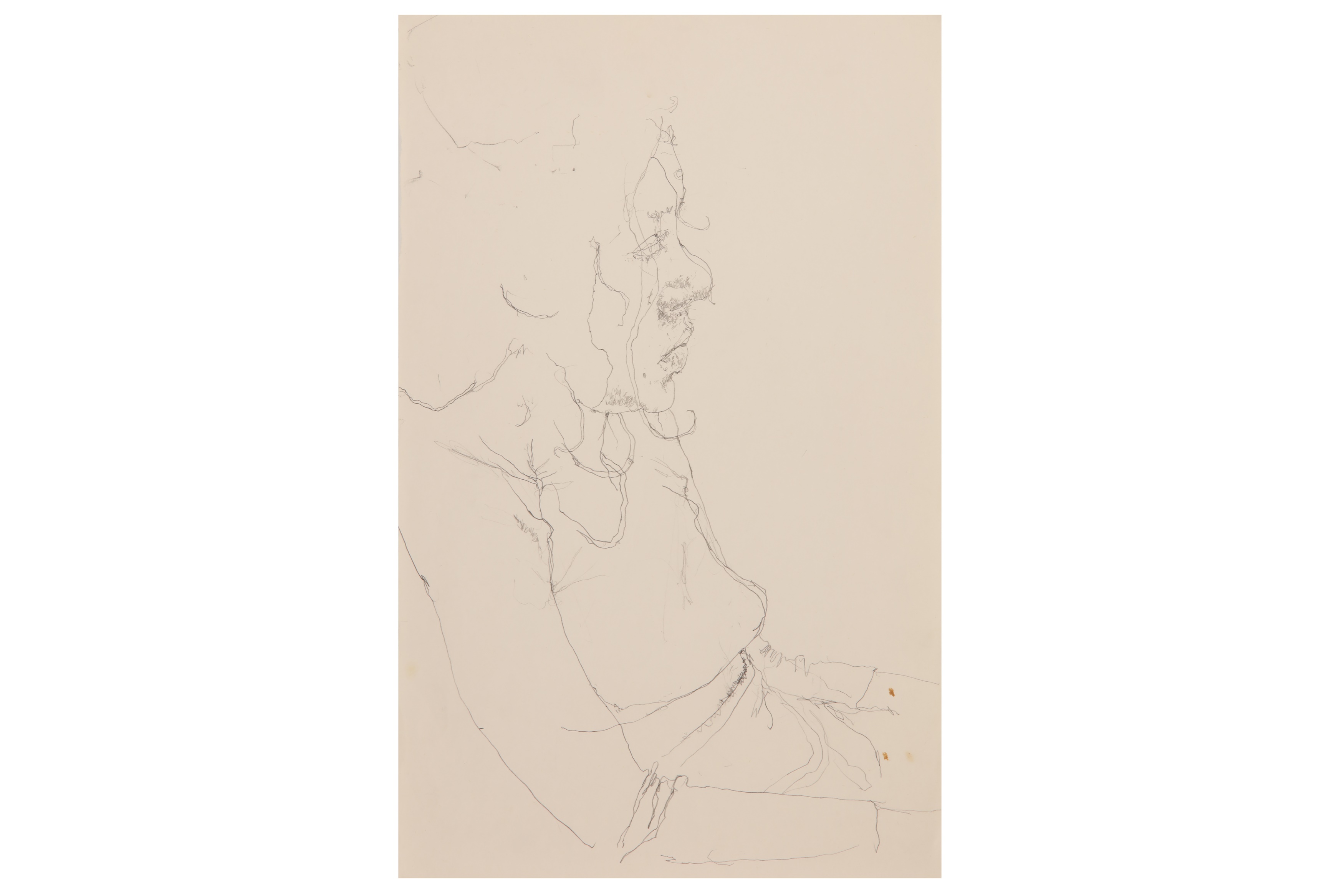 Lot 333 - IAN POLLOCK (B. 1975)