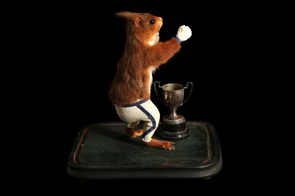 Lot 181 - AN ANTHROPOMORPHIC TAXIDERMY SCENE OF A