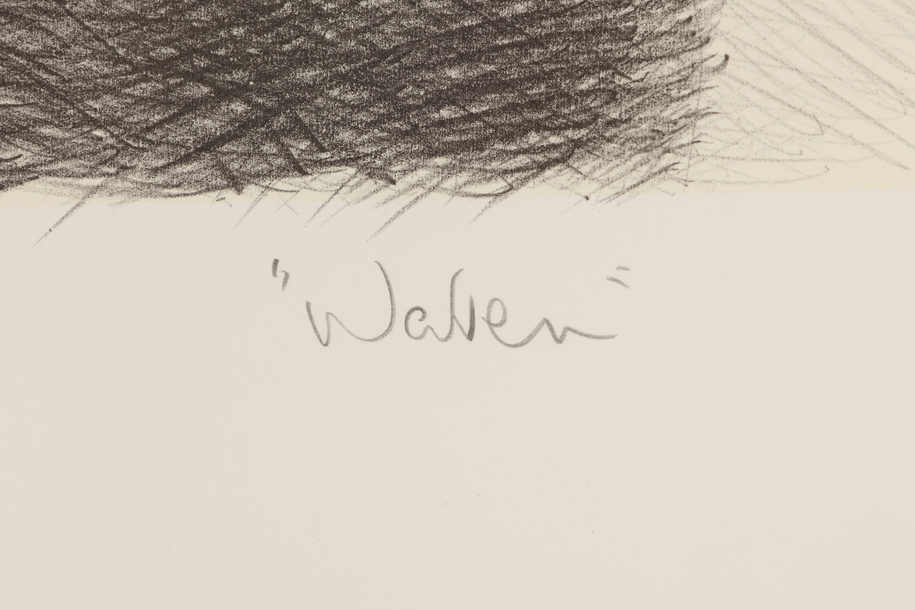 Lot 830 - ANGUS MCDONALD (AUSTRALIAN B. 1961)