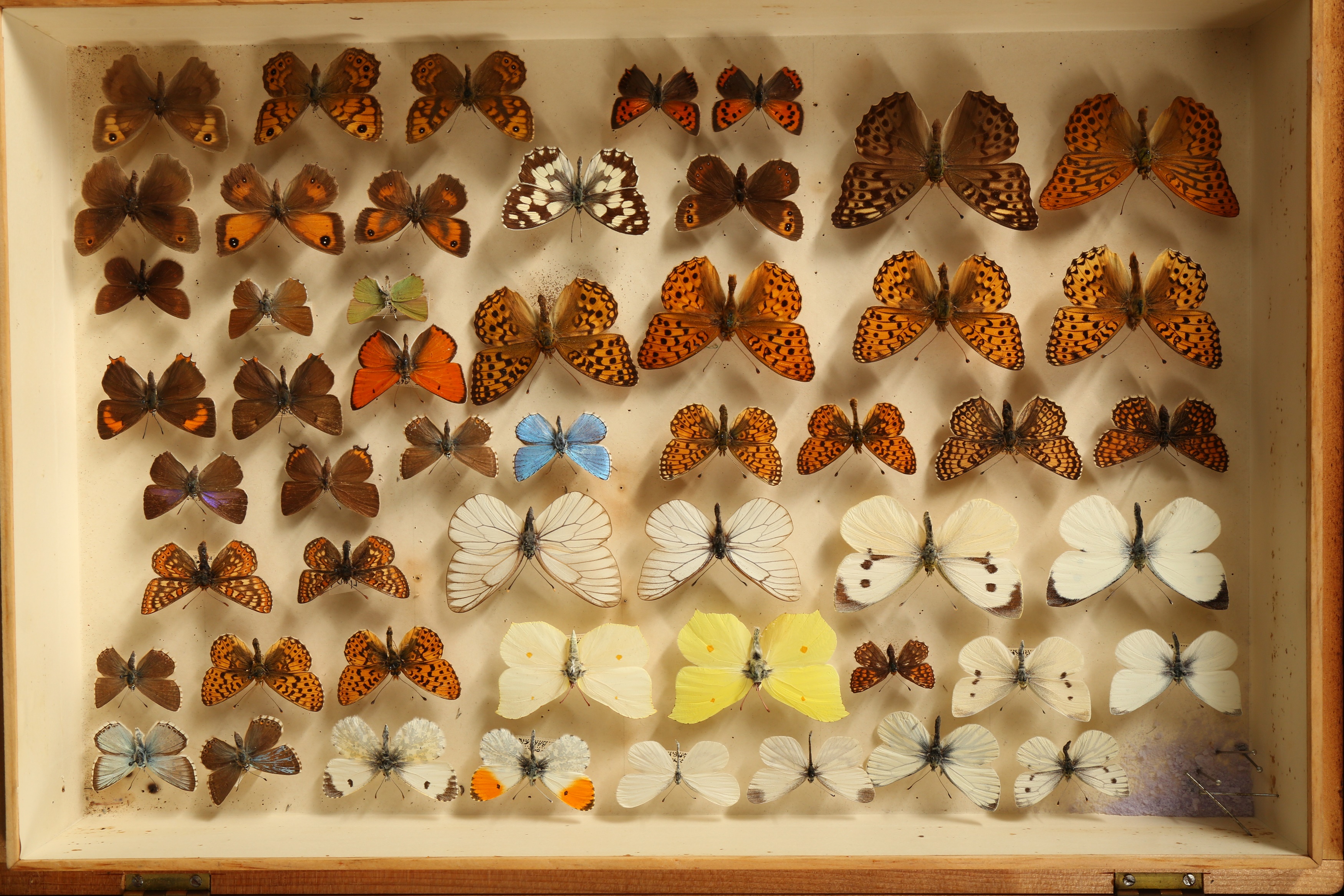 Lot 253 - AN EARLY 20TH CENTURY DOUBLE WOODEN