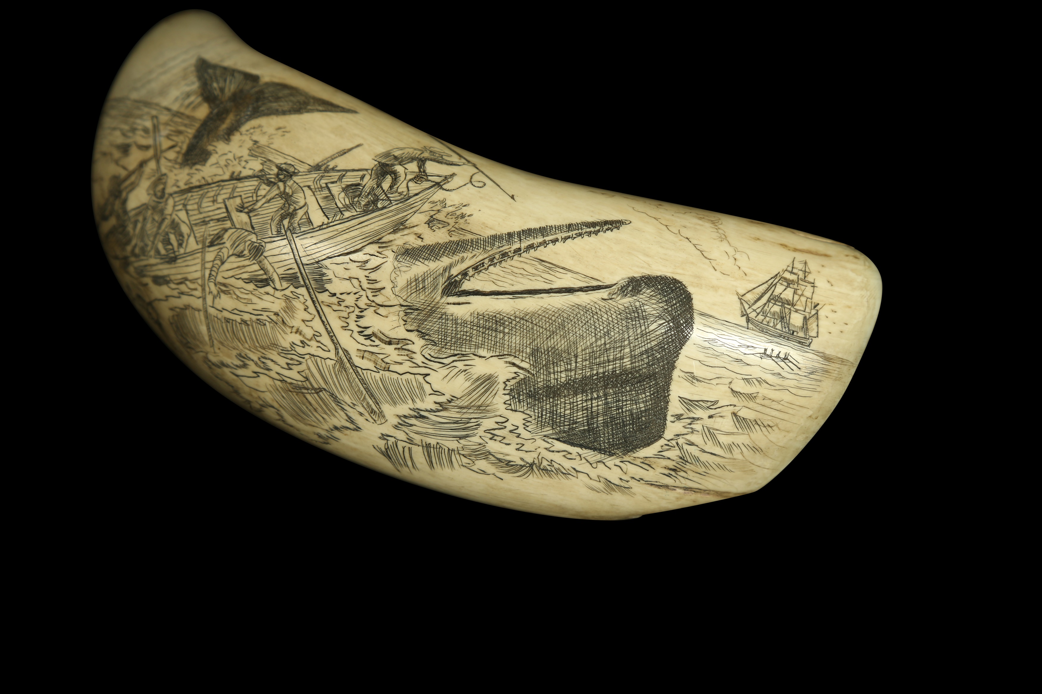 Lot 133 - A 19TH CENTURY SCRIMSHAW SPERM WHALE TOOTH