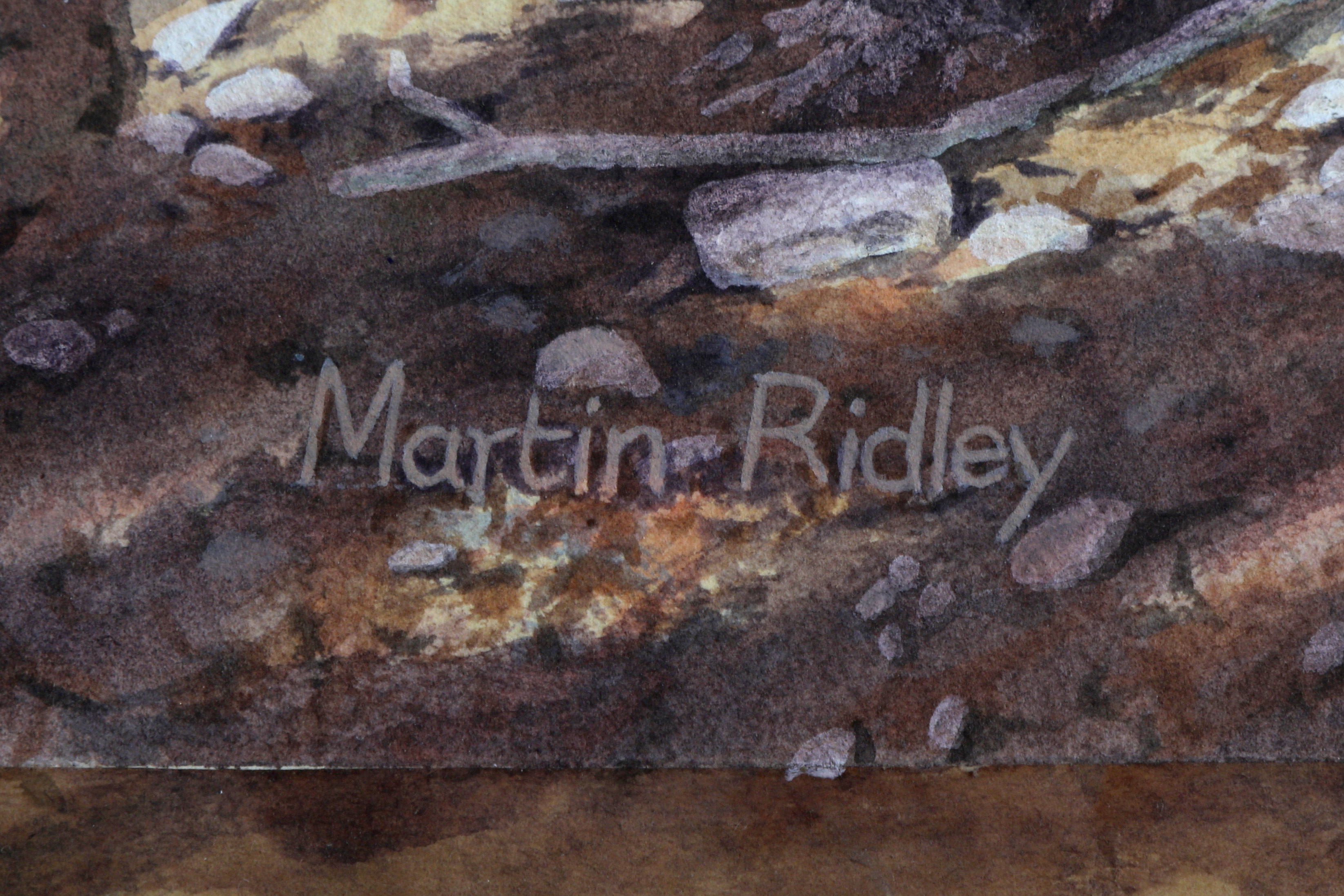 Lot 582 - MARTIN RIDLEY (SCOTTISH B.1967)