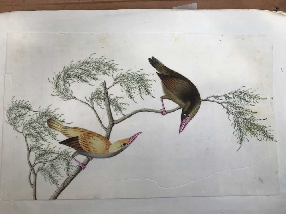 Lot 412 - NINE CHINESE PITH PAPER PAINTINGS.