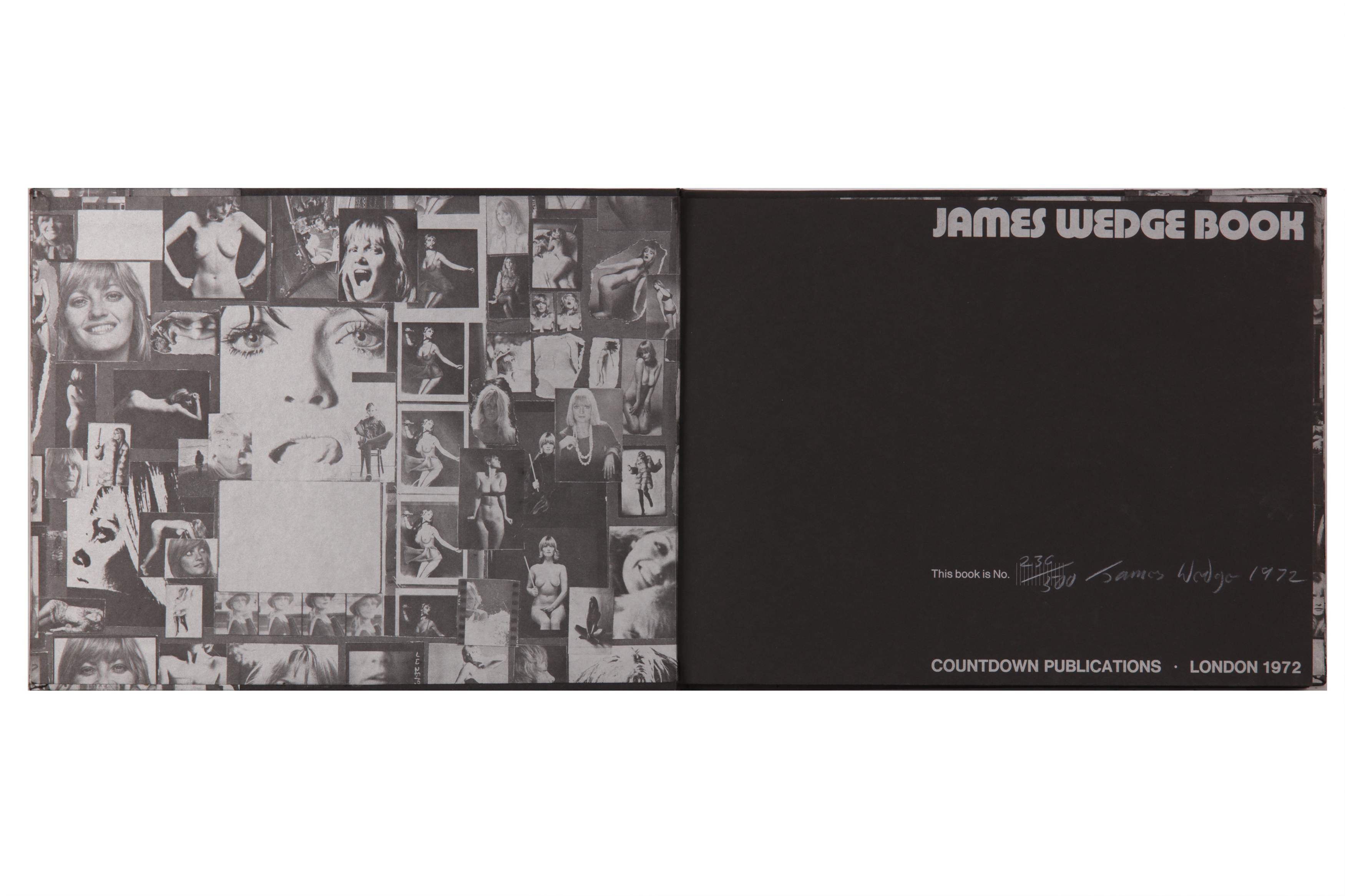 Lot 1070 - JAMES WEDGE (B. 1937)