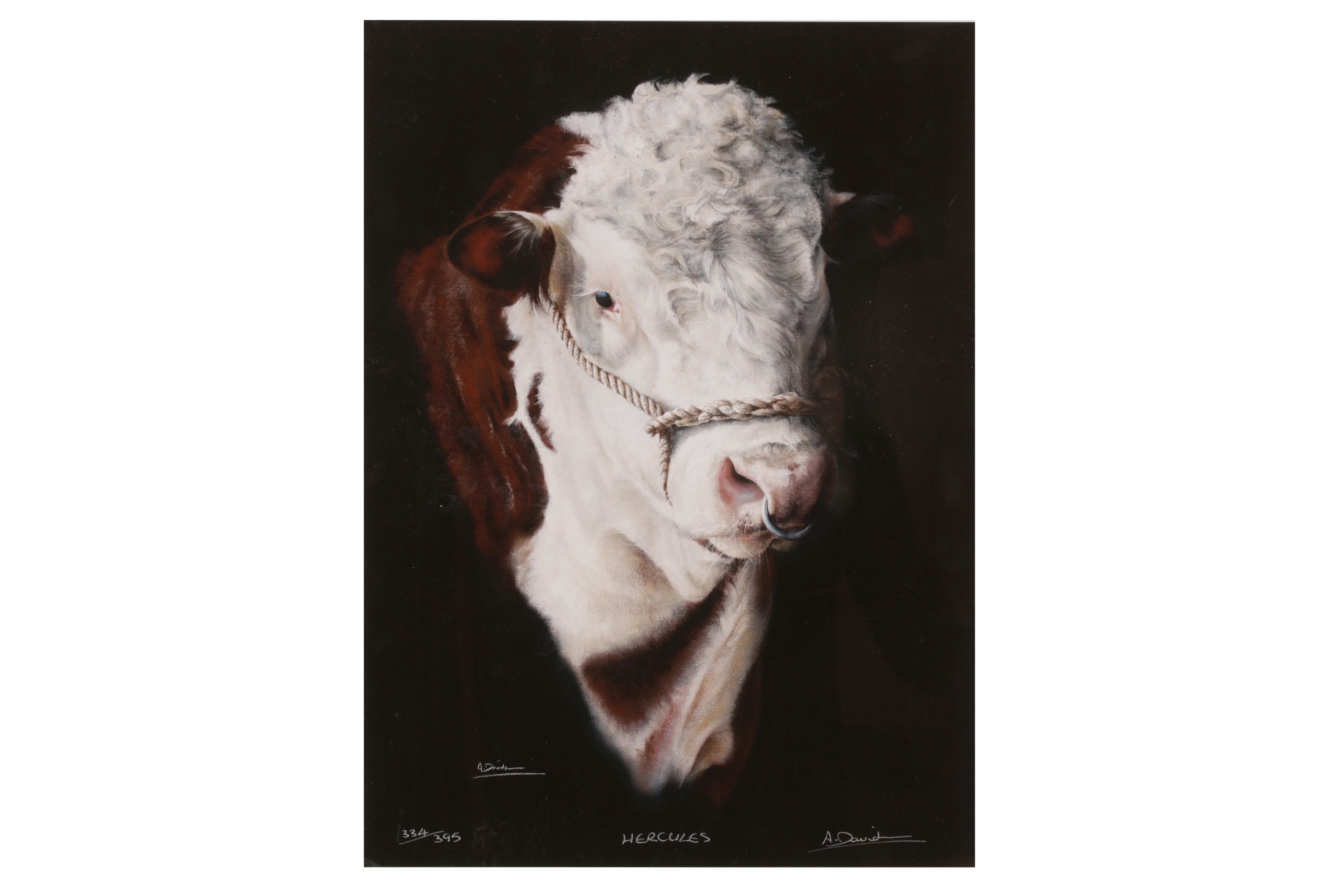 Lot 205 - ANGELA DAVIDSON