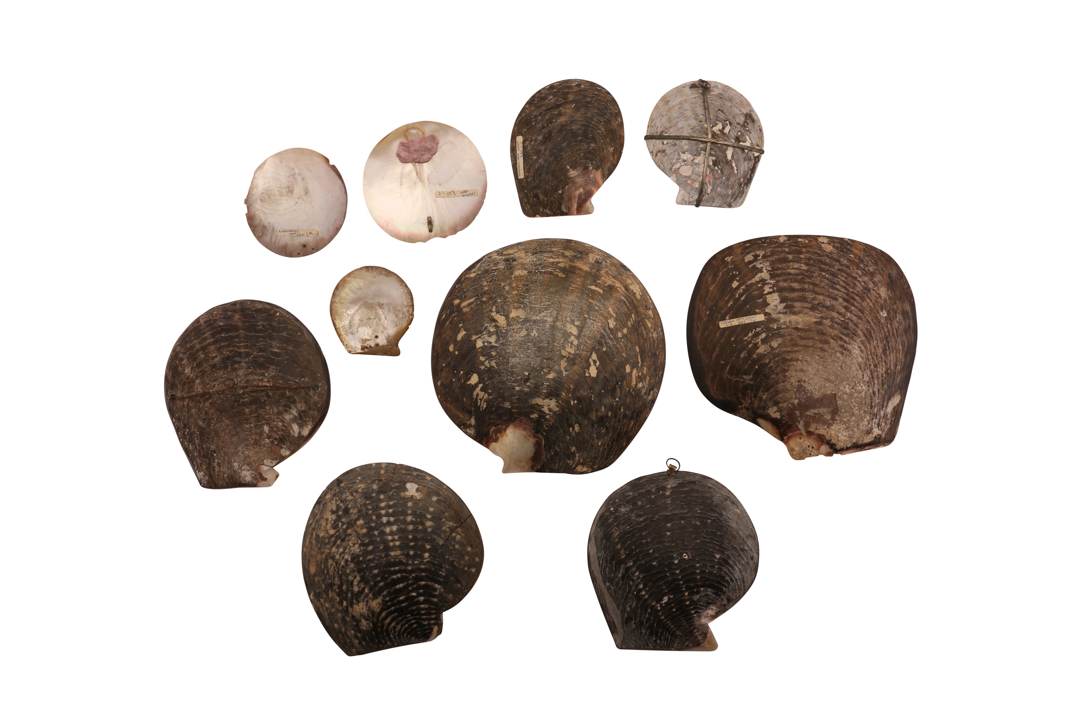 Lot 152 - A COLLECTION OF TEN 19TH CENTURY FRENCH