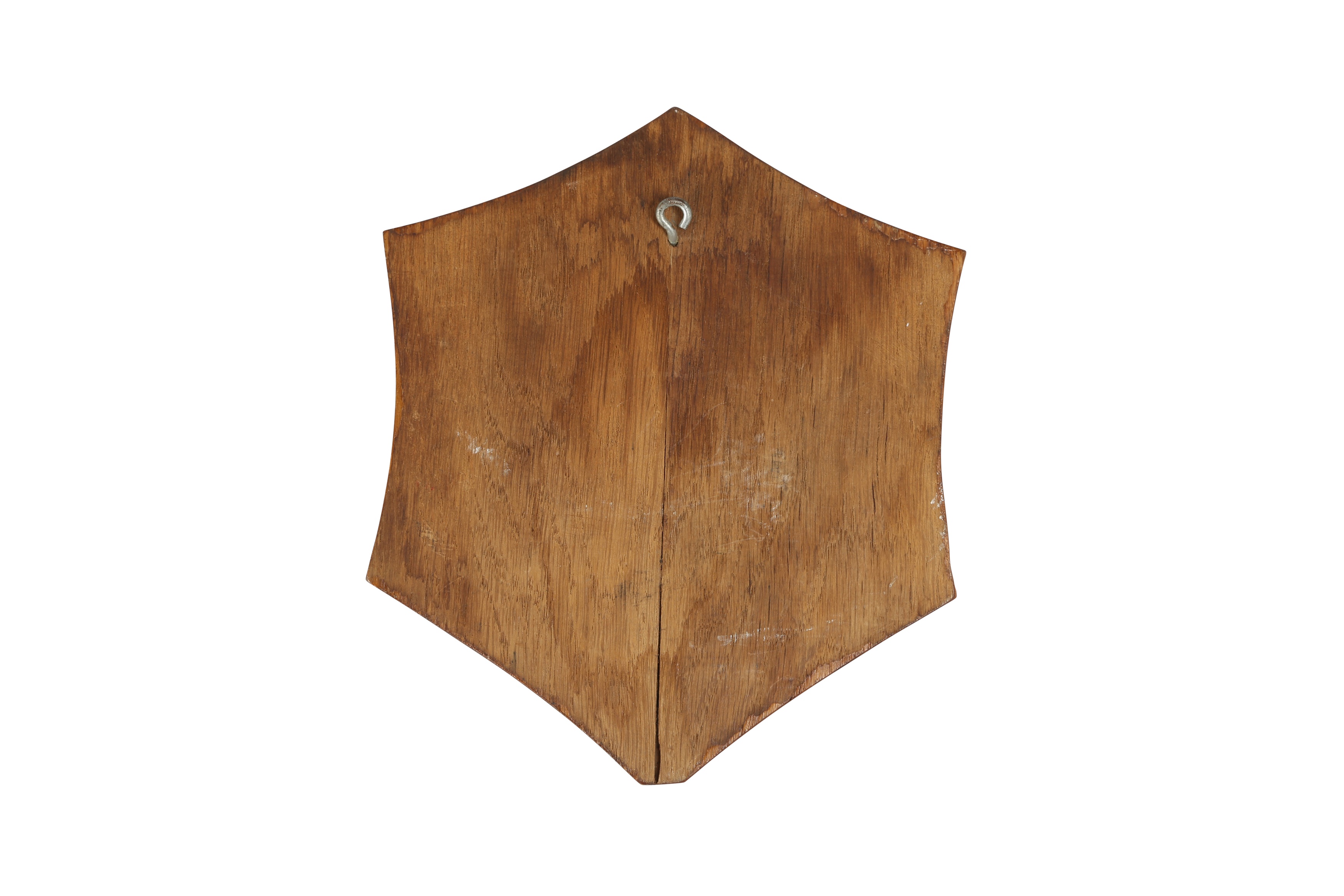 Lot 357 - A DRIED FISH HEAD ON DISPLAY SHIELD