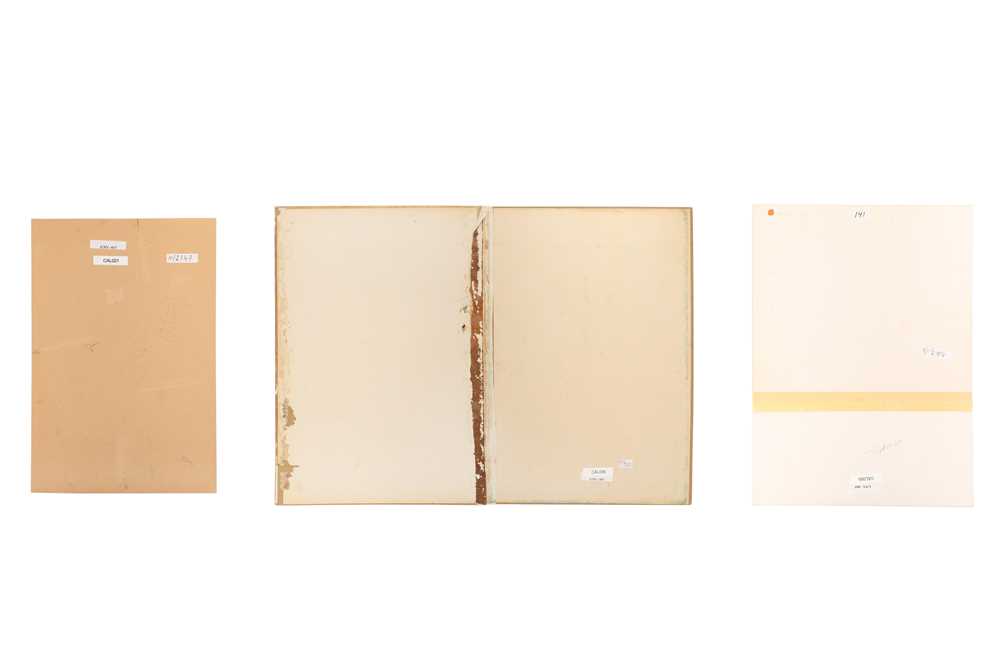 Lot 105 - THREE LARGE MURAQQA' ALBUM PAGES WITH