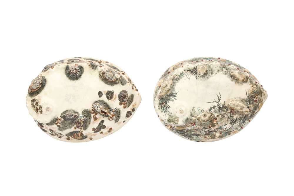 Lot 488 - A NEAR-PAIR OF JAPANESE SATSUMA ABALONE