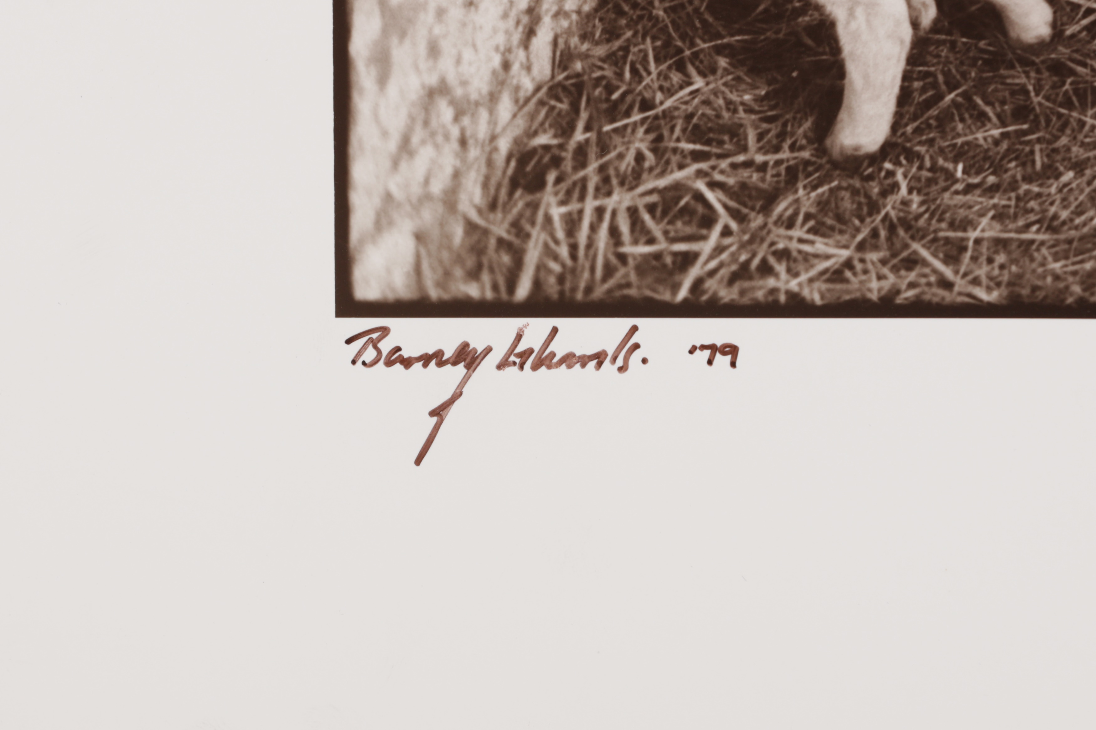 Lot 272 - Barney Edwards (xx)