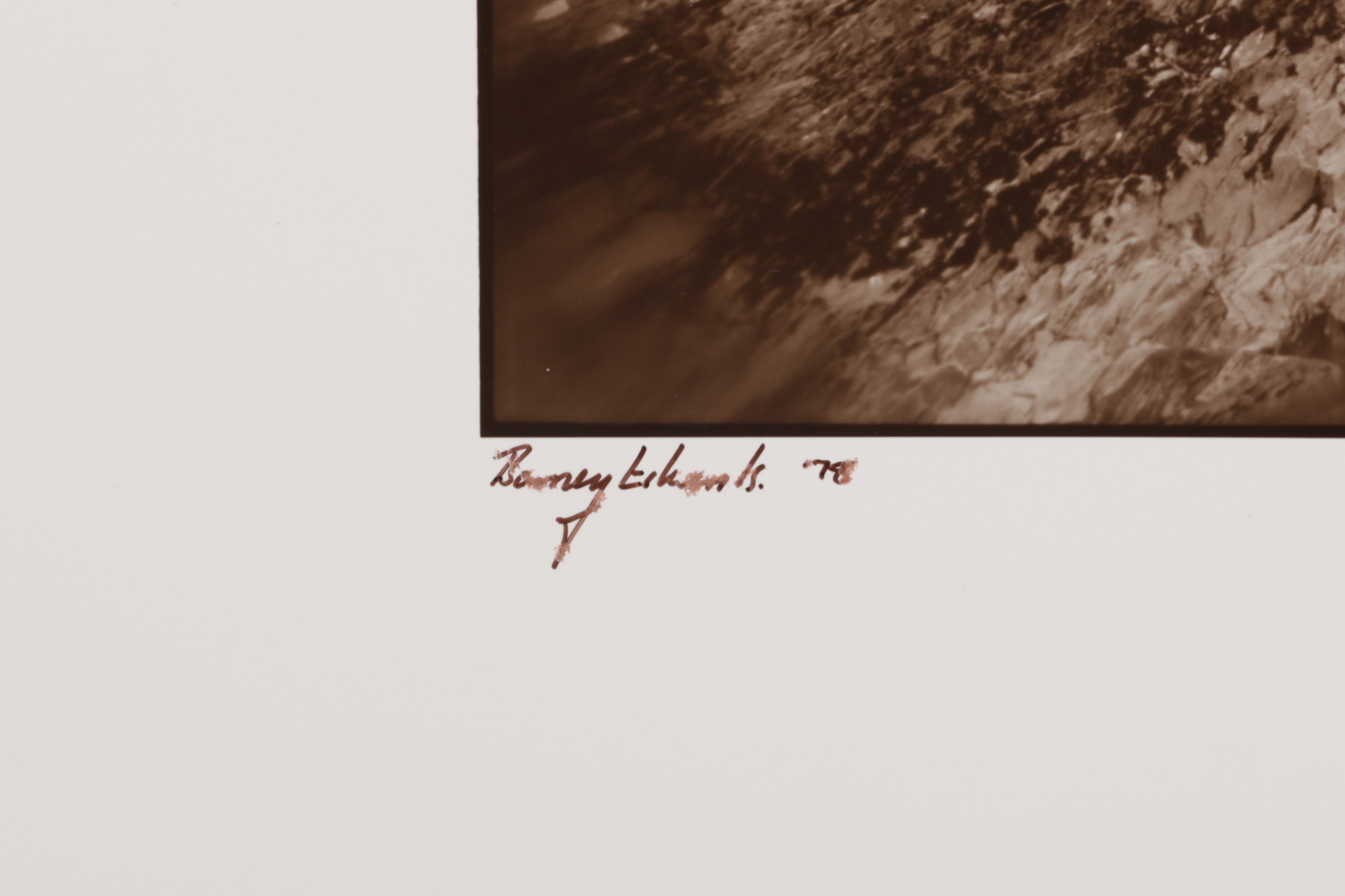 Lot 272 - Barney Edwards (xx)