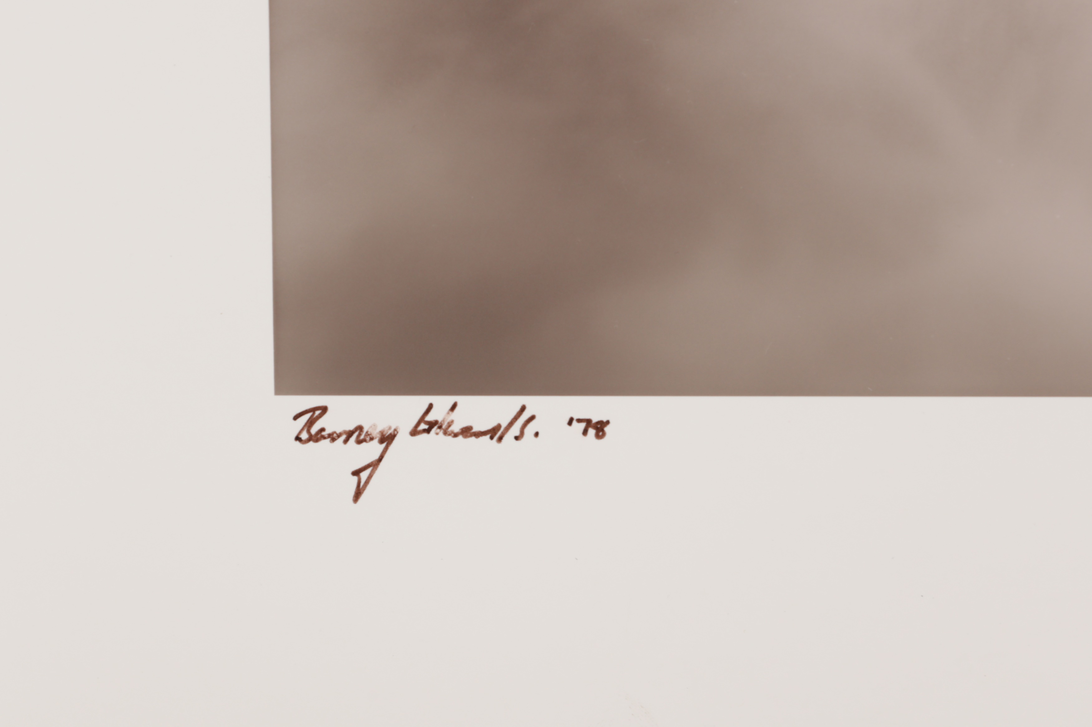 Lot 272 - Barney Edwards (xx)