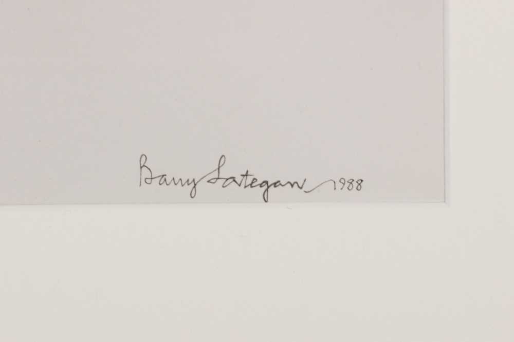 Lot 524 - Barry Lategan, b.1935