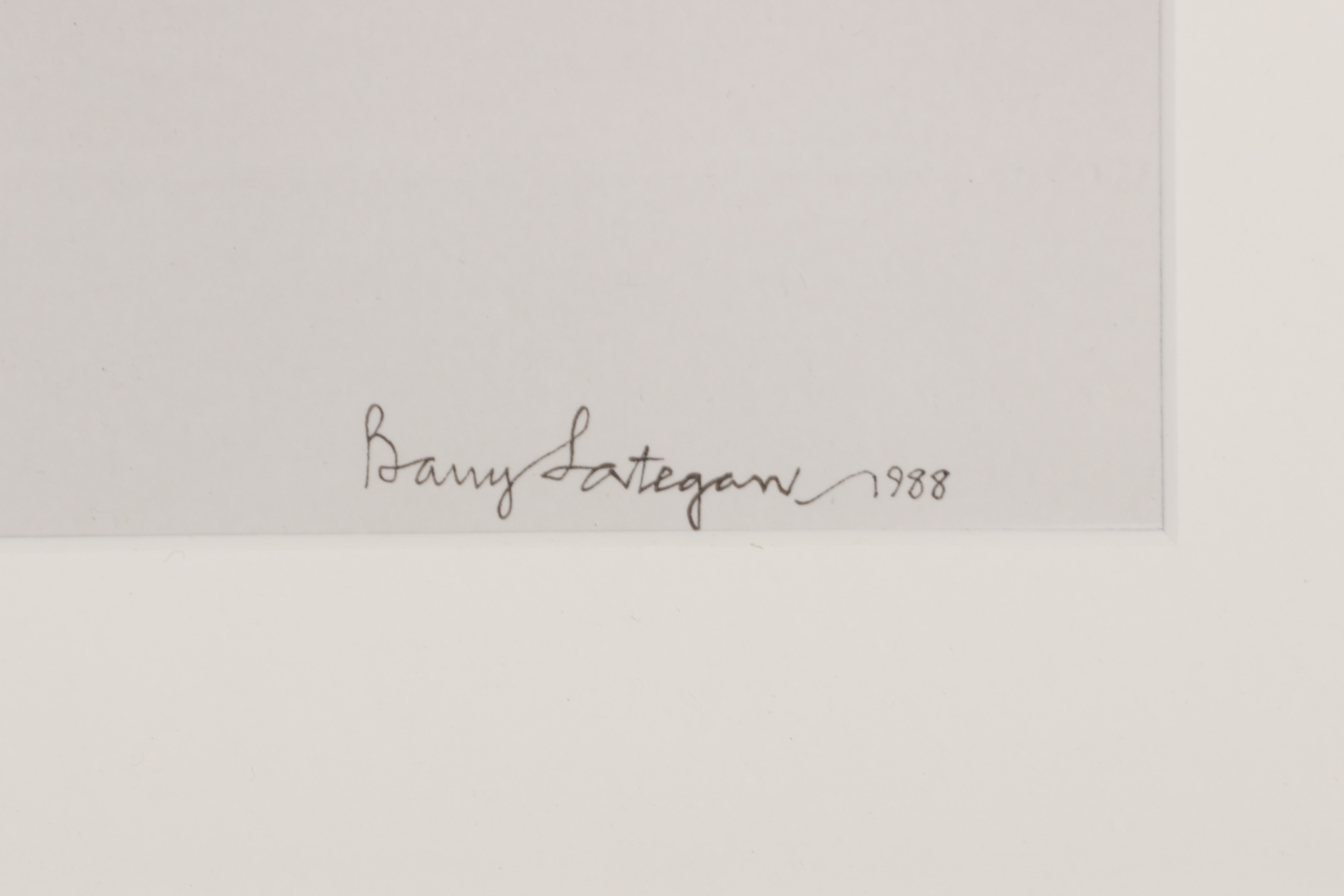 Lot 178 - Barry Lategan, b.1935