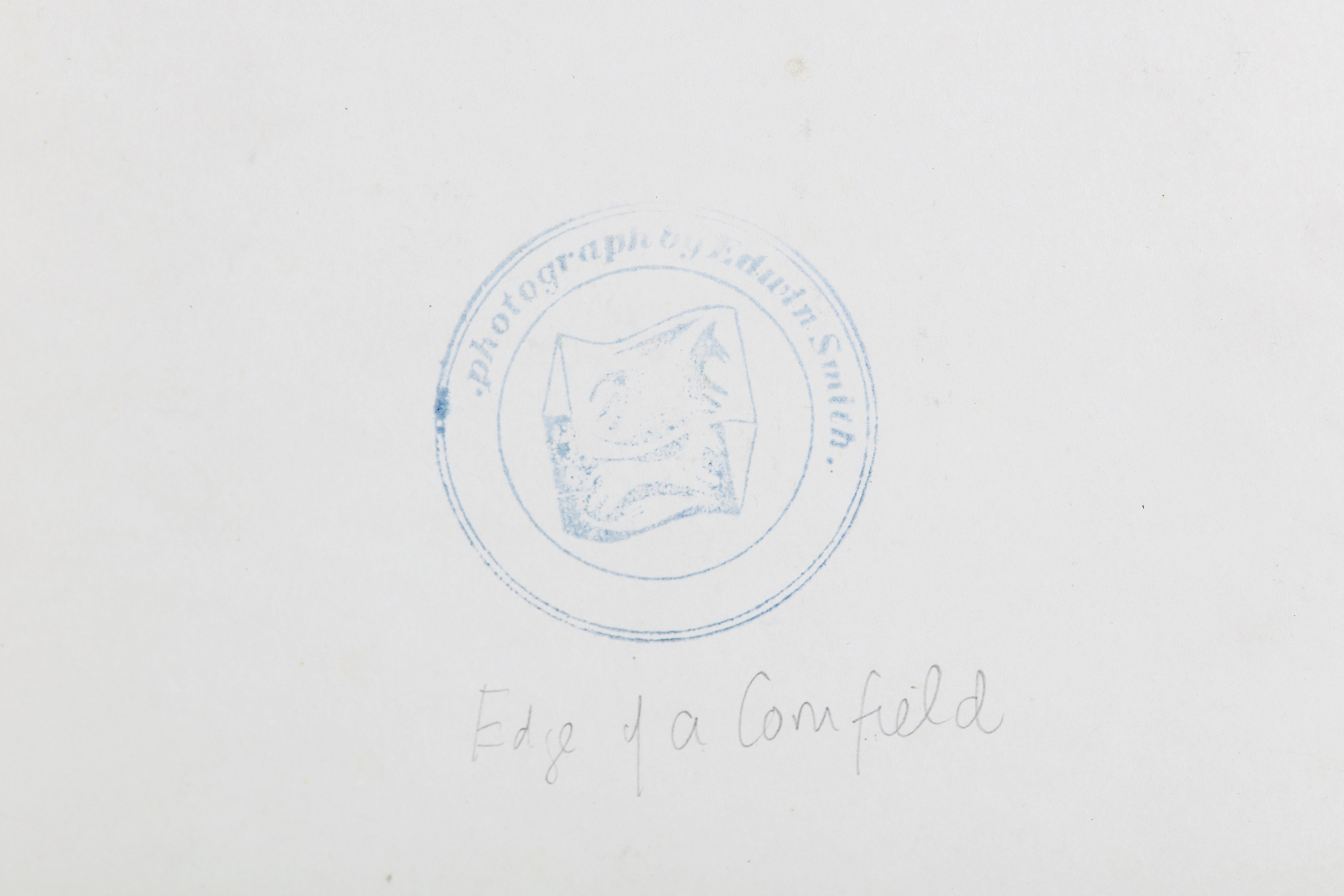 Lot 277 - Edwin Smith (1912-1971)