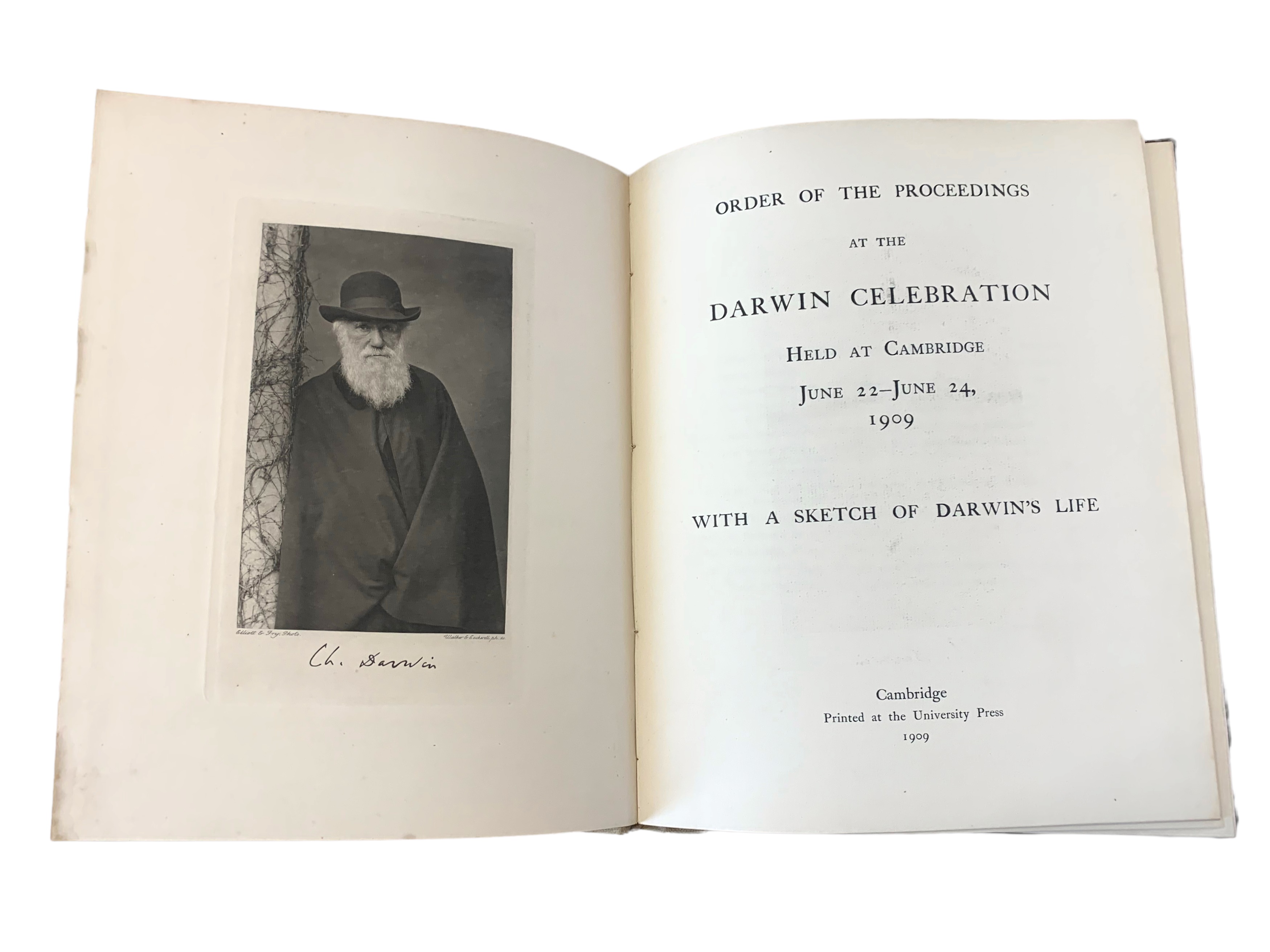 Lot 181 - Darwin family.-