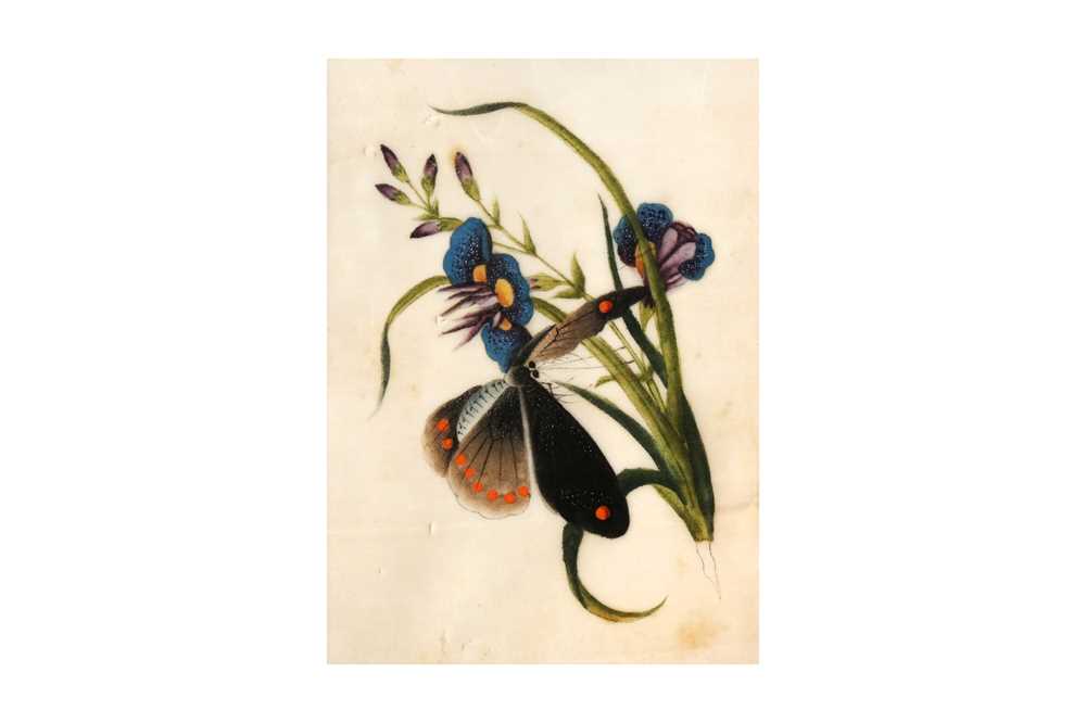 Lot 402 - A GROUP OF FIVE CHINESE PITH PAPER PAINTINGS