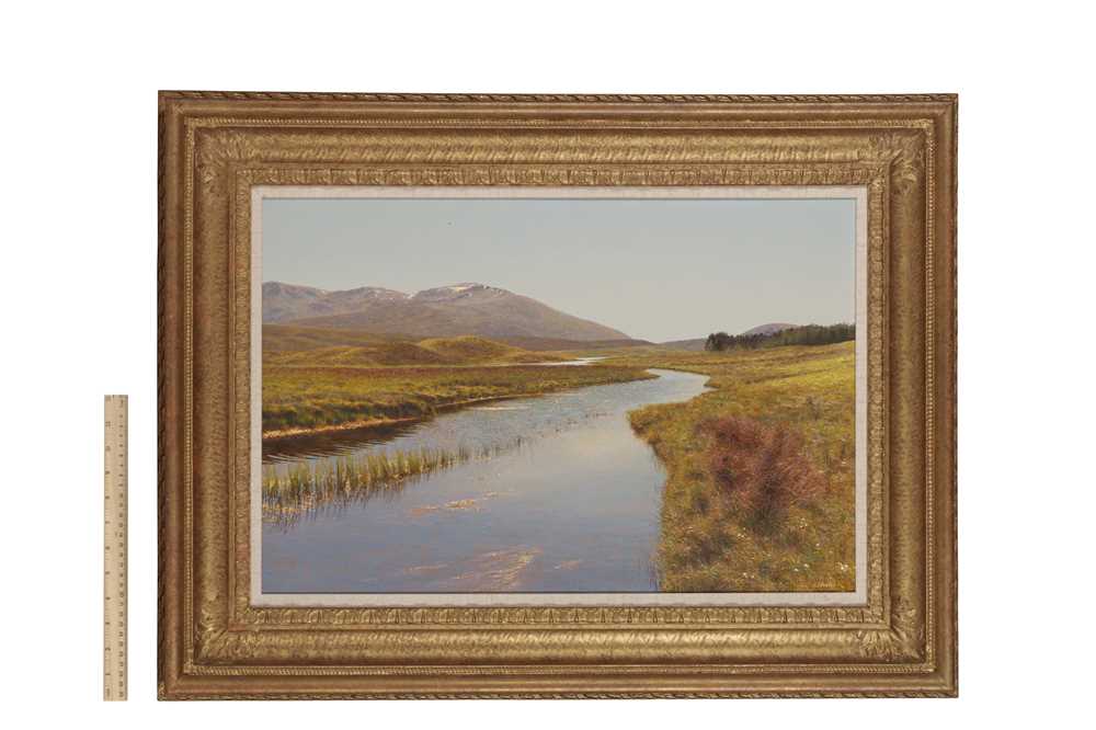 Lot 225 - ANDREW COATES (BRITISH B.1955)