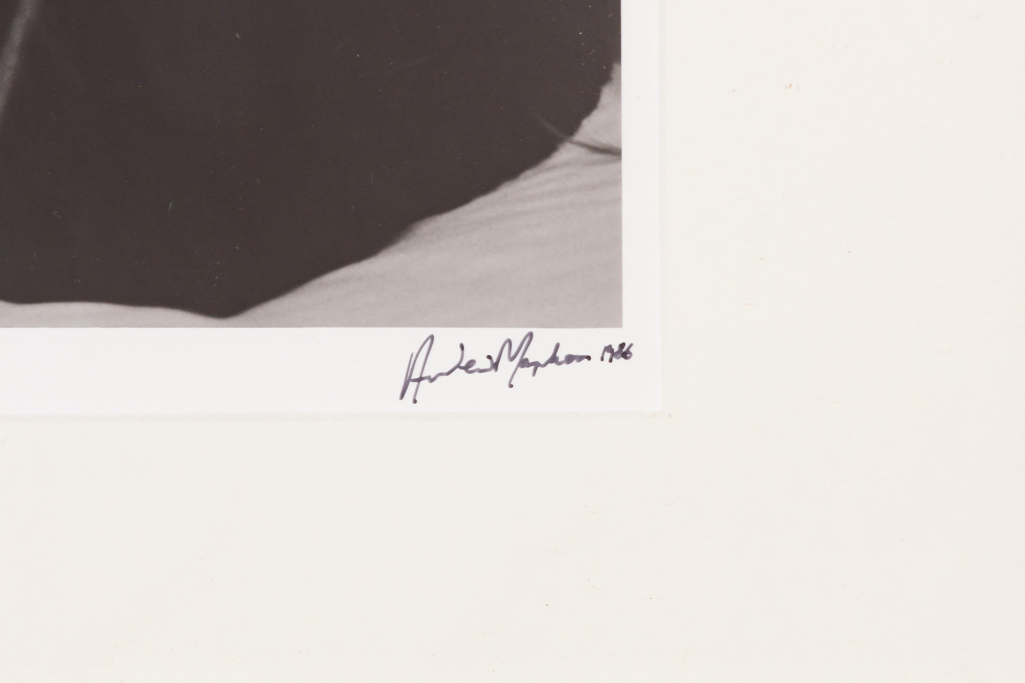 Lot 547 - Andrew Macpherson (b.1960)