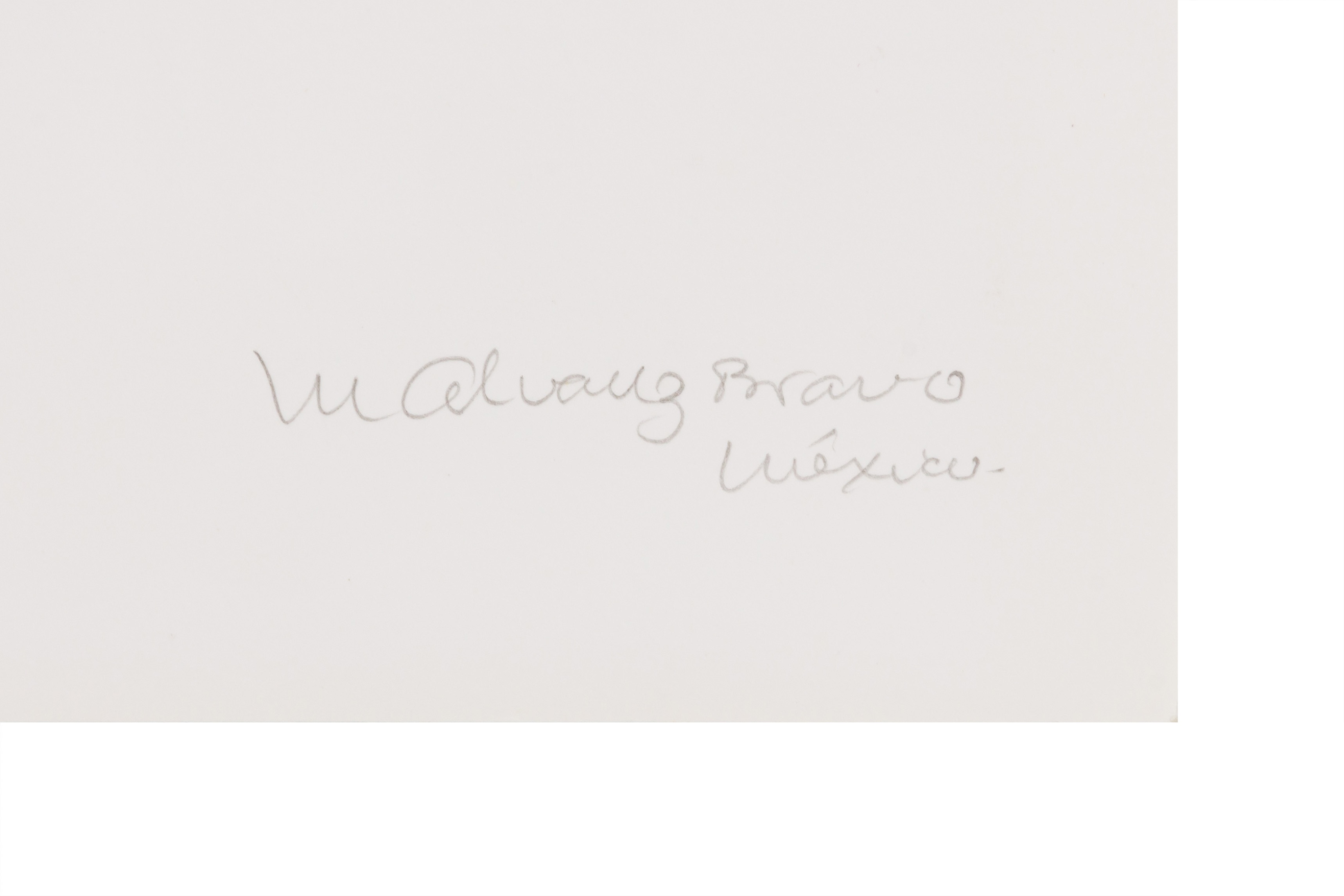 Lot 135 - Manuel Álvarez Bravo (1902-2002)