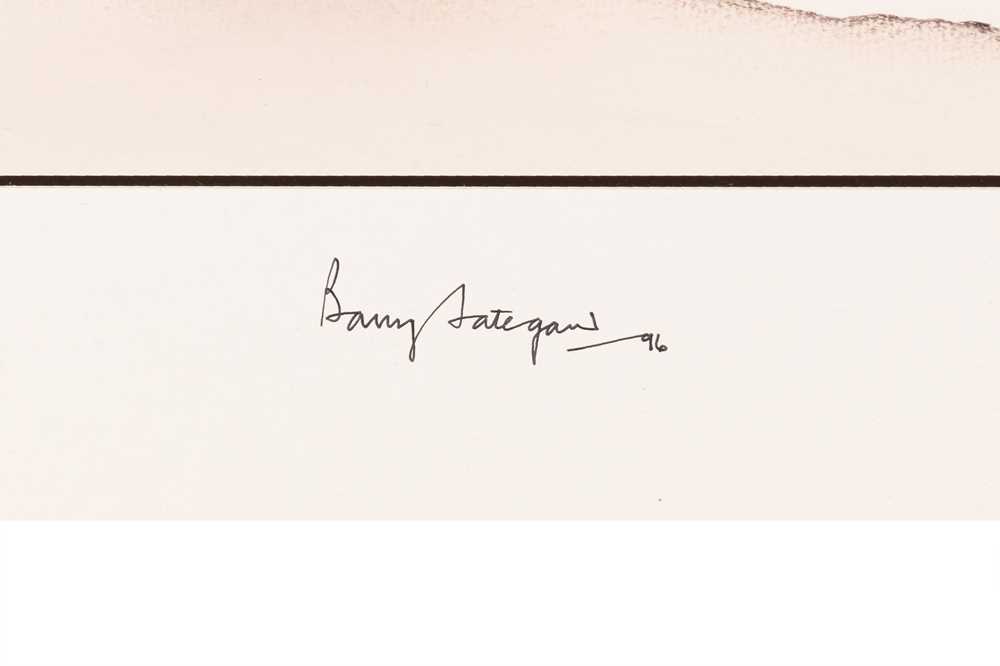 Lot 489 - Barry Lategan (b.1935)