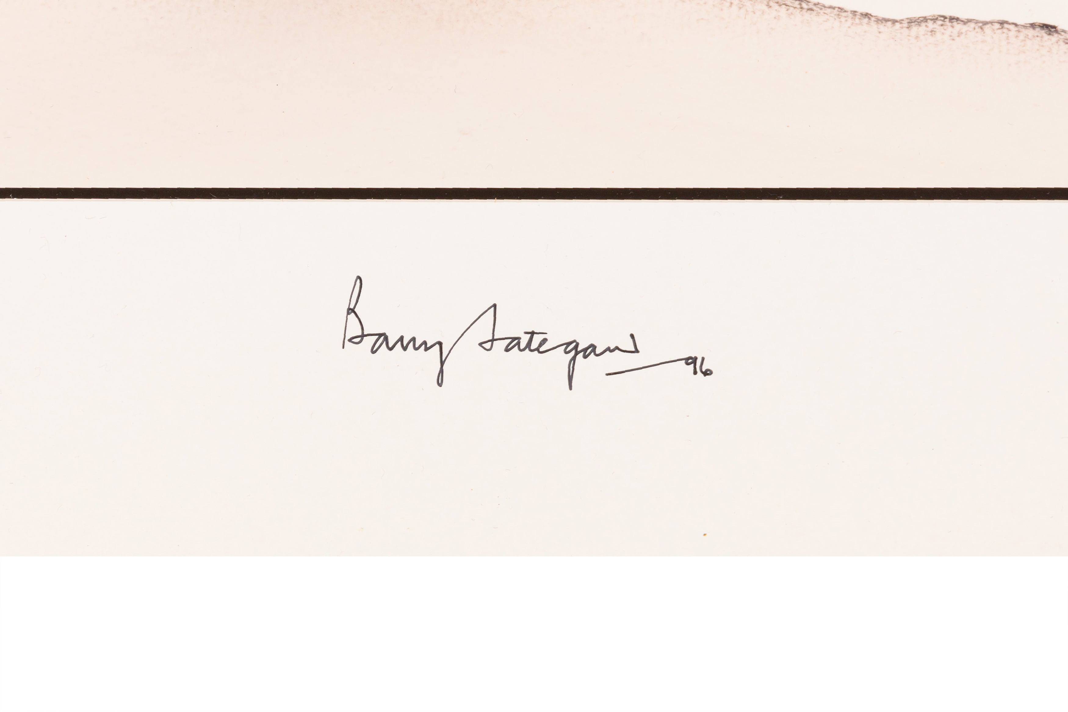 Lot 489 - Barry Lategan (b.1935)