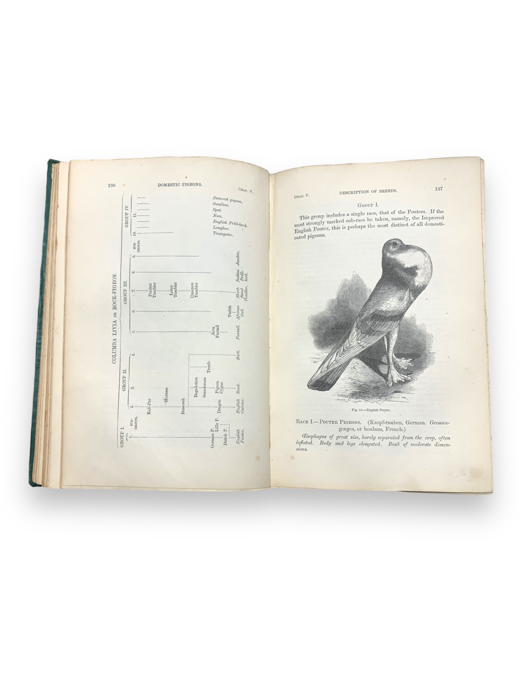 Lot 78 - Charles Darwin, Variation of Animals and