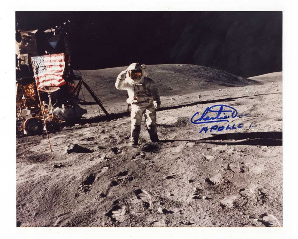 Lot 529 - Duke (Charlie)