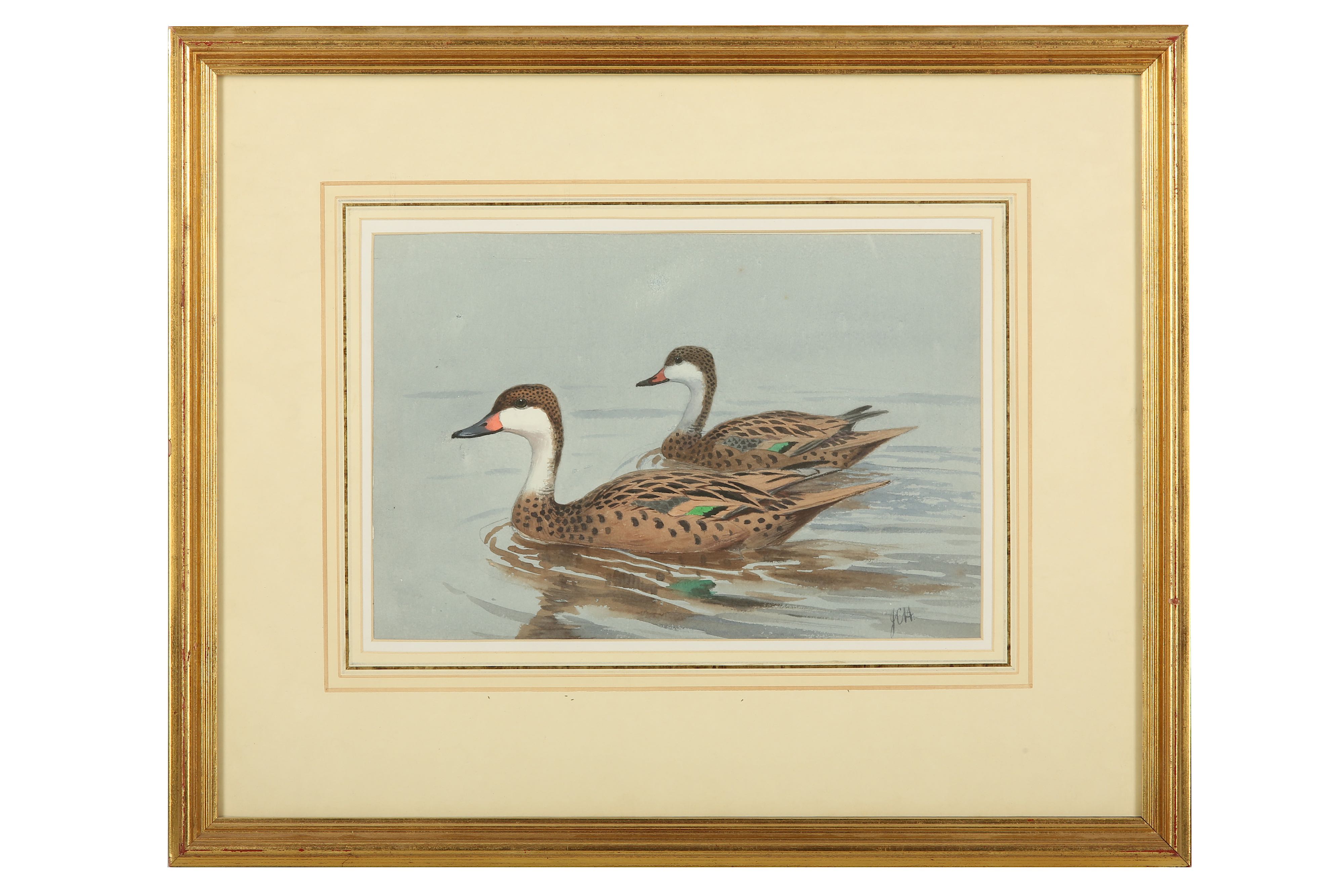 Lot 35 - Harrison (J. C.) Pair of Pintails, original