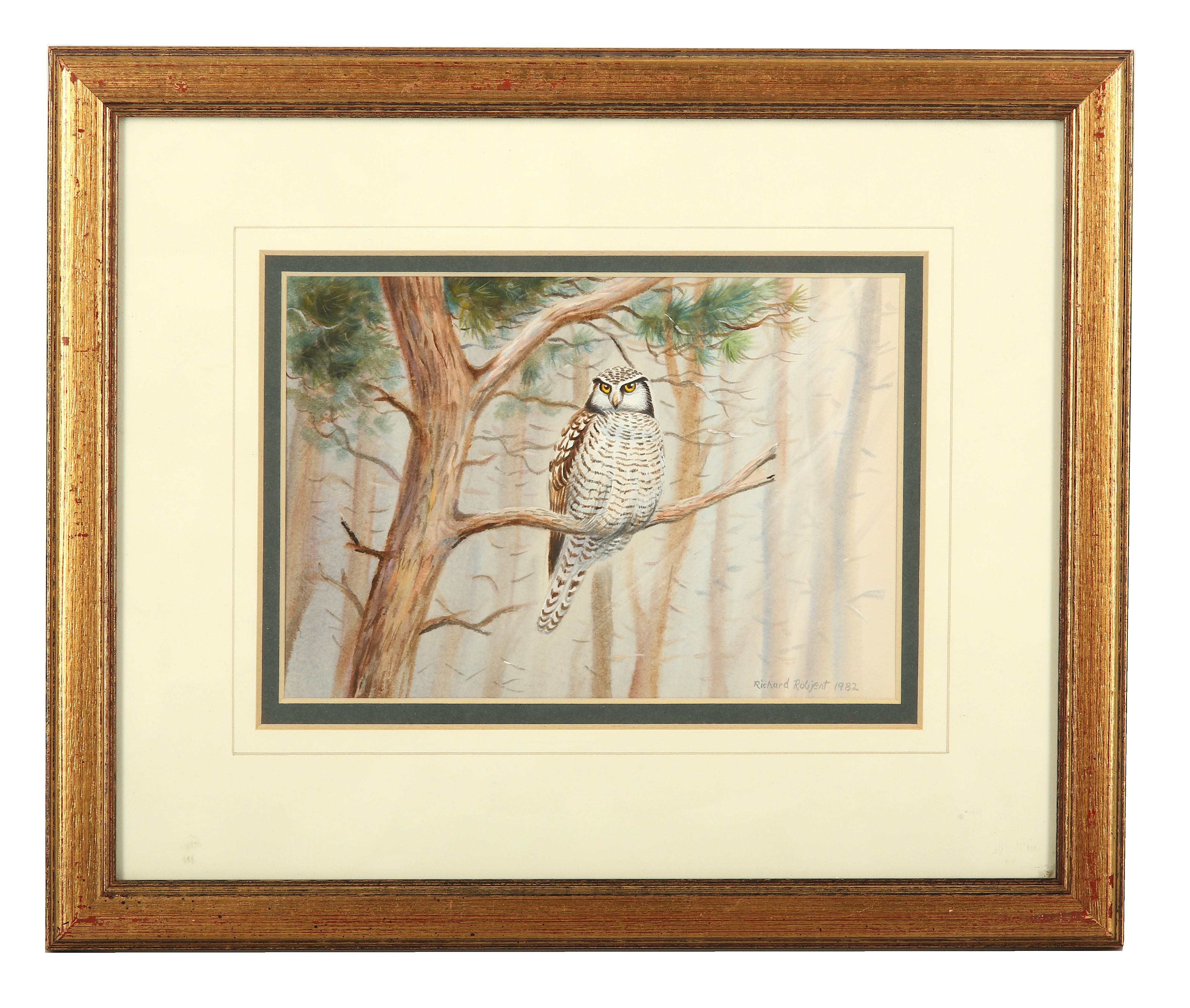 Lot 167 - Robjent (Richard) Eagle Owl; Tawny Owl; Long-